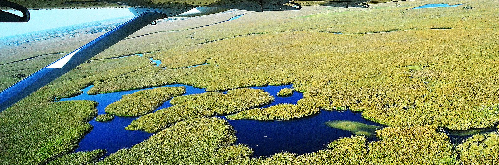 Rutas10 | Circuitos y viajes organizados por el delta de Okavango