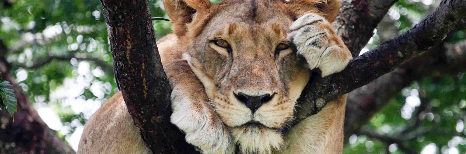 Rutas10 | Ruta Okavango Aventura: Namibia - Botswana - Cataratas ...