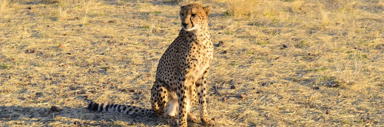 Rutas10 | Ruta Okavango Aventura: Namibia - Botswana - Cataratas ...